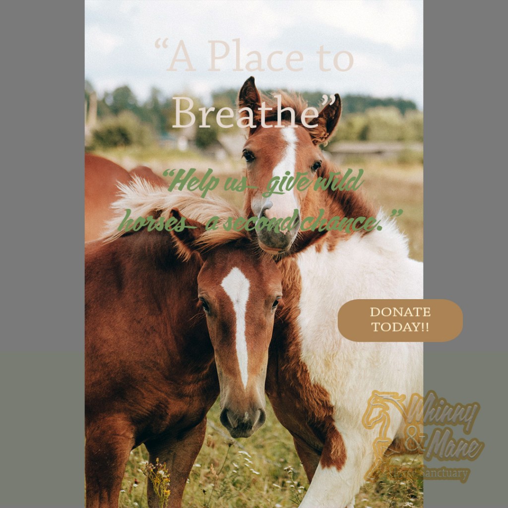 Portfolio – Casey's Graphics